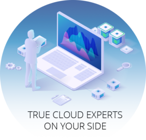 CloudTeam – Your FinOps solution